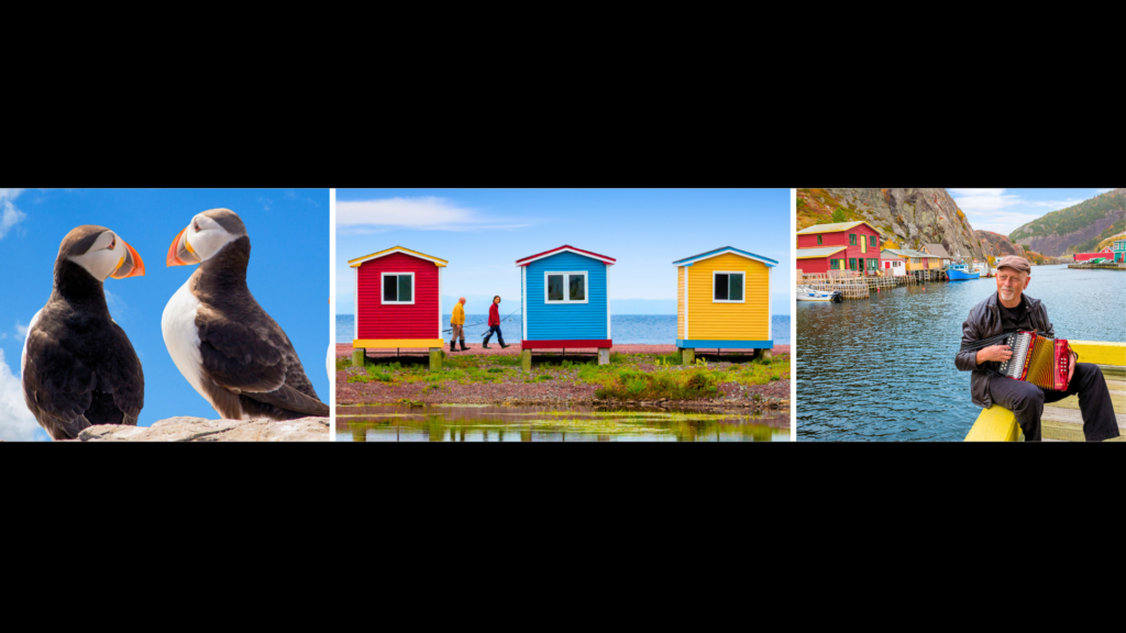 Newfoundland & Labrador (Fly Tour) - Maple Leaf Tours | Tour | Travel ...