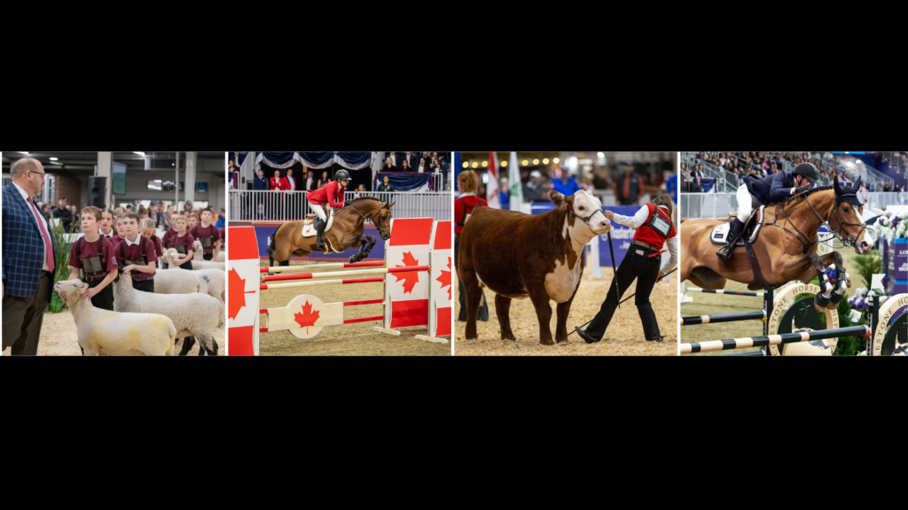 Royal Winter Fair - Maple Leaf Tours | Tour | Travel | Cruise